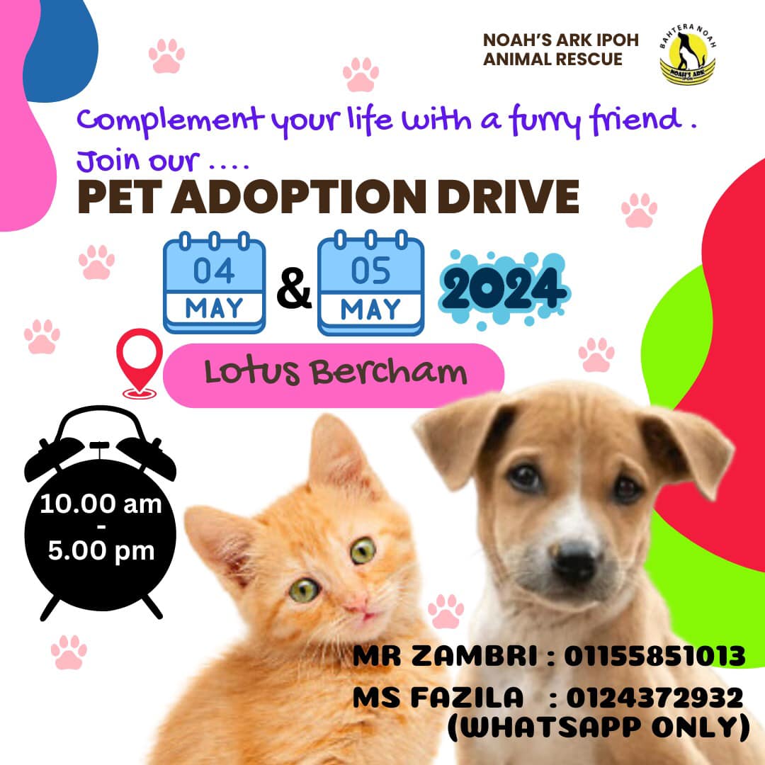 Pet Adoption Drive at Lotus Bercham - My Ipoh | Your Digital Online ...